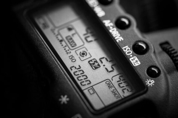 Professional Portrait Photography - Unveiling the Pristine Art
