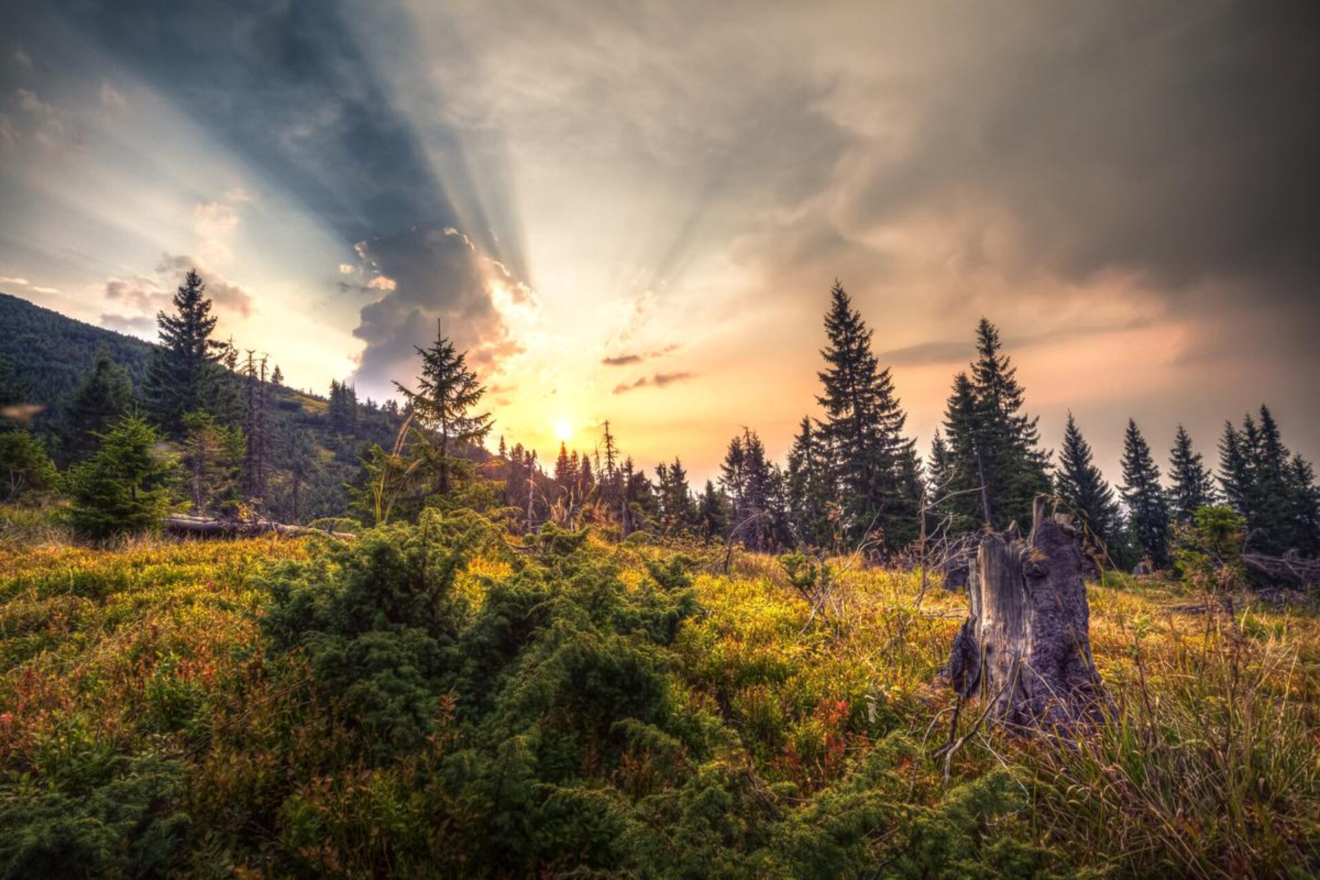 What is Bracketing in Photography: The Ultimate Guide for Jaw-Dropping ...
