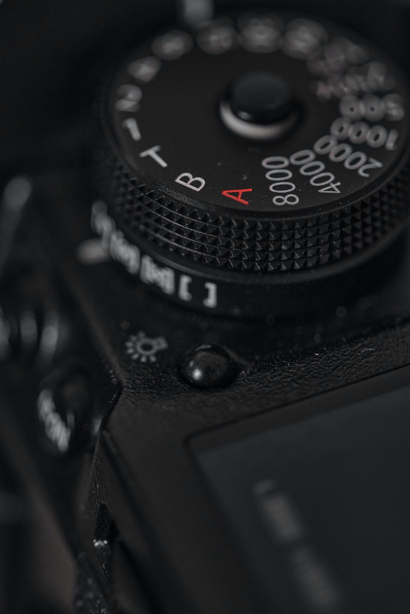 What is ISO in Photography: Secret to Taking Amazing Photos in Any ...